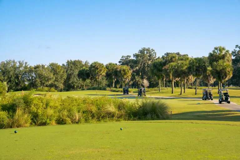 Pelican Executive Golf Course in The Villages®, Florida