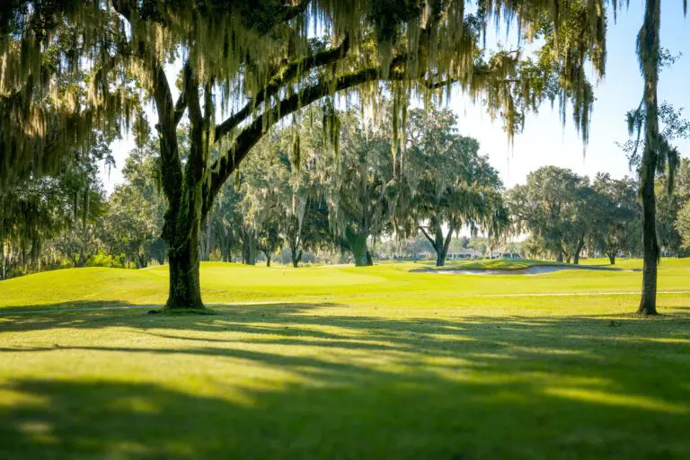 Pelican Executive Golf Course in The Villages®, Florida
