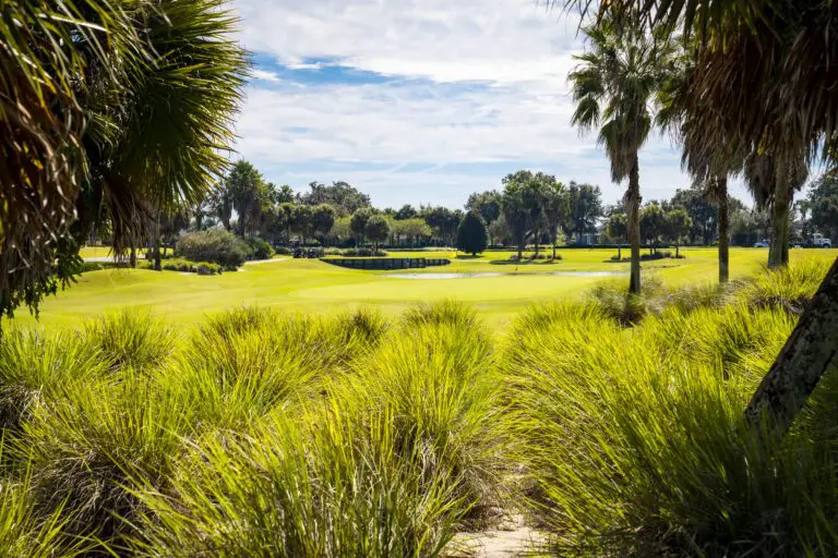 Turtle Mound Executive Golf Course in The Villages®, Florida