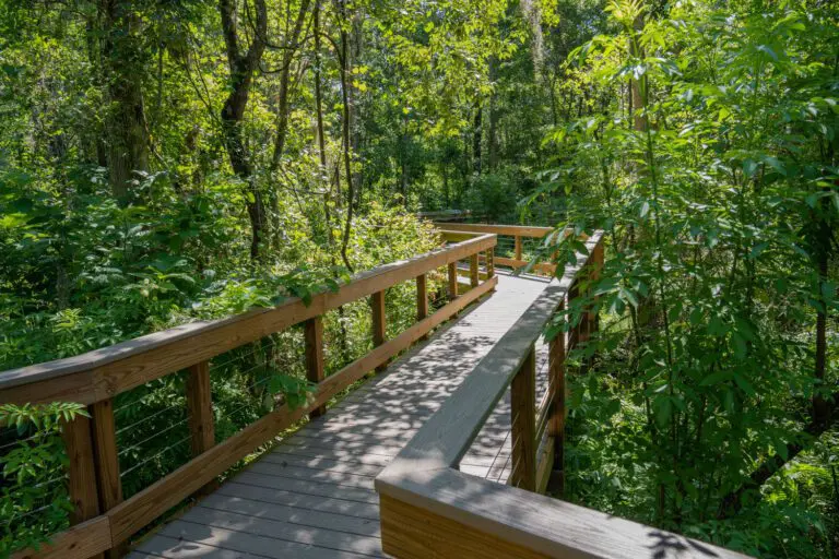 Homestead Recreation - Farm Fun in The Villages®