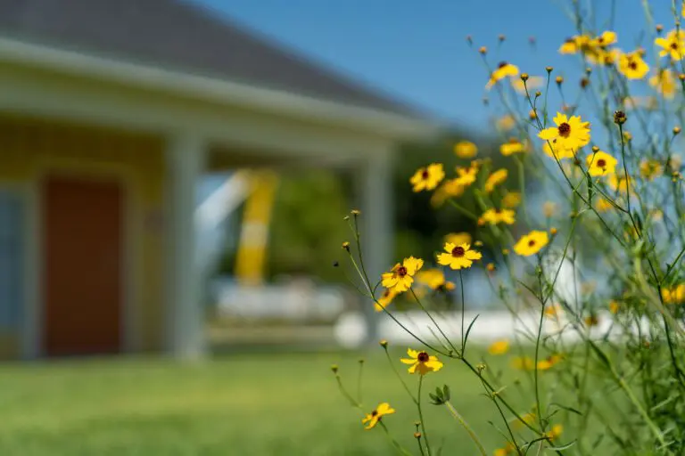 Swallowtail Recreation - Leisure and Activities in The Villages®