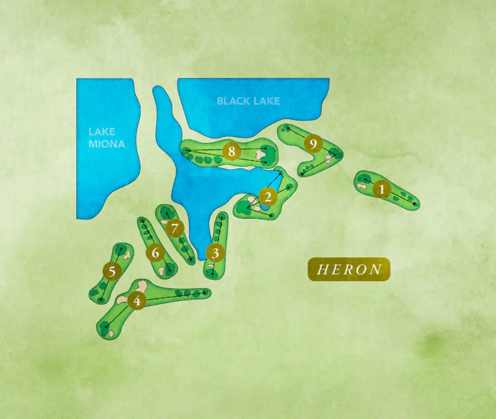 Heron Executive Golf Course in The Villages®, Florida