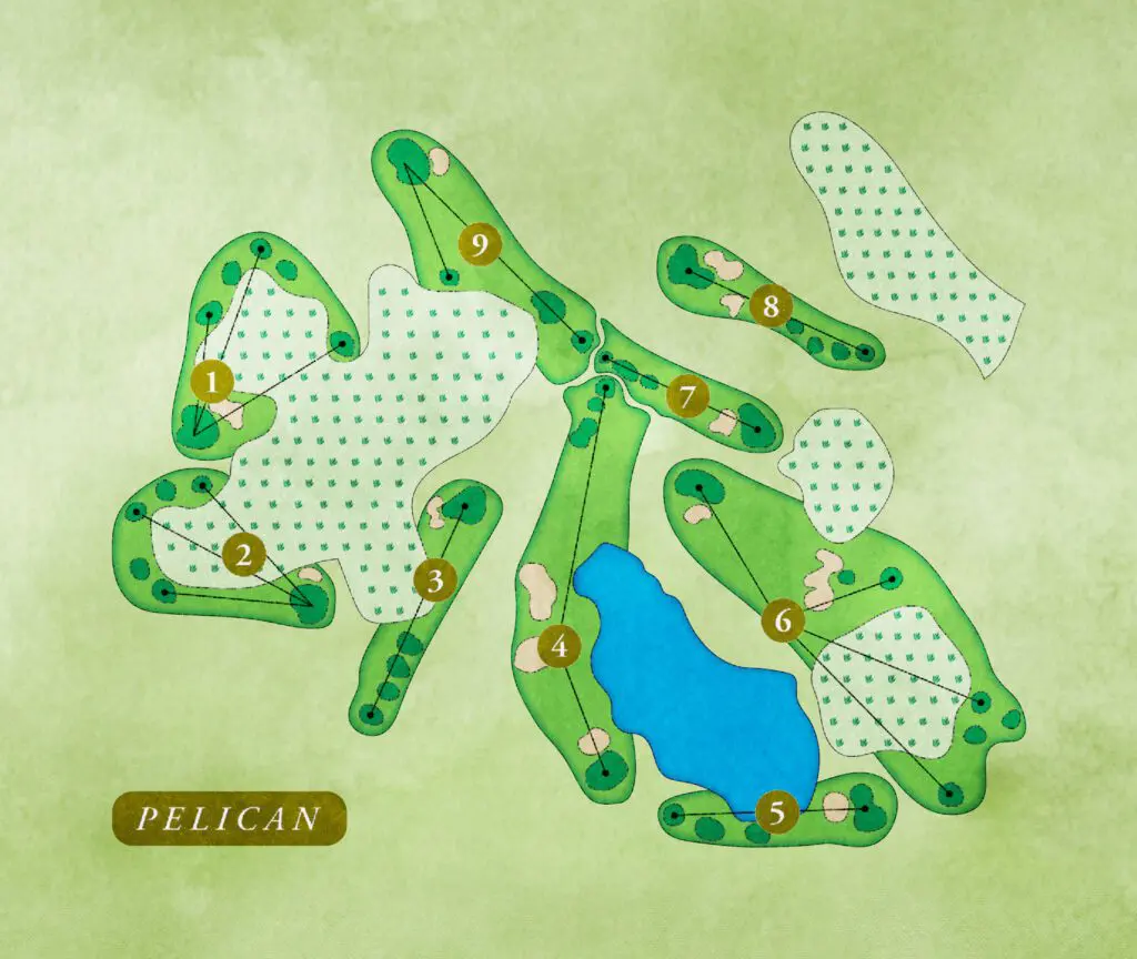 Pelican Executive Golf Course in The Villages®, Florida