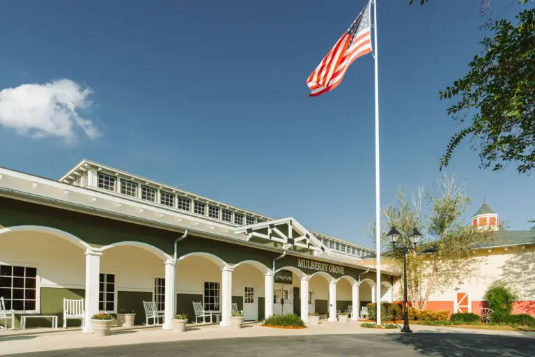 Mulberry Grove Recreation in The Villages®