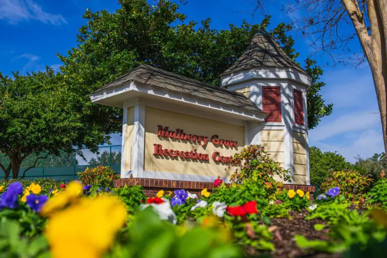 Mulberry Grove Recreation in The Villages®