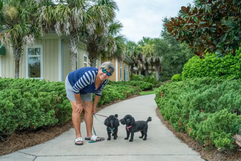 Seabreeze Recreation | Beach-Themed Activities