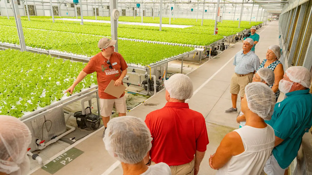 Healthy Programs in The Villages®, Florida