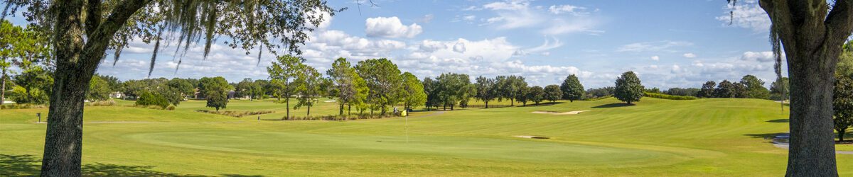 Walnut Grove - The Villages