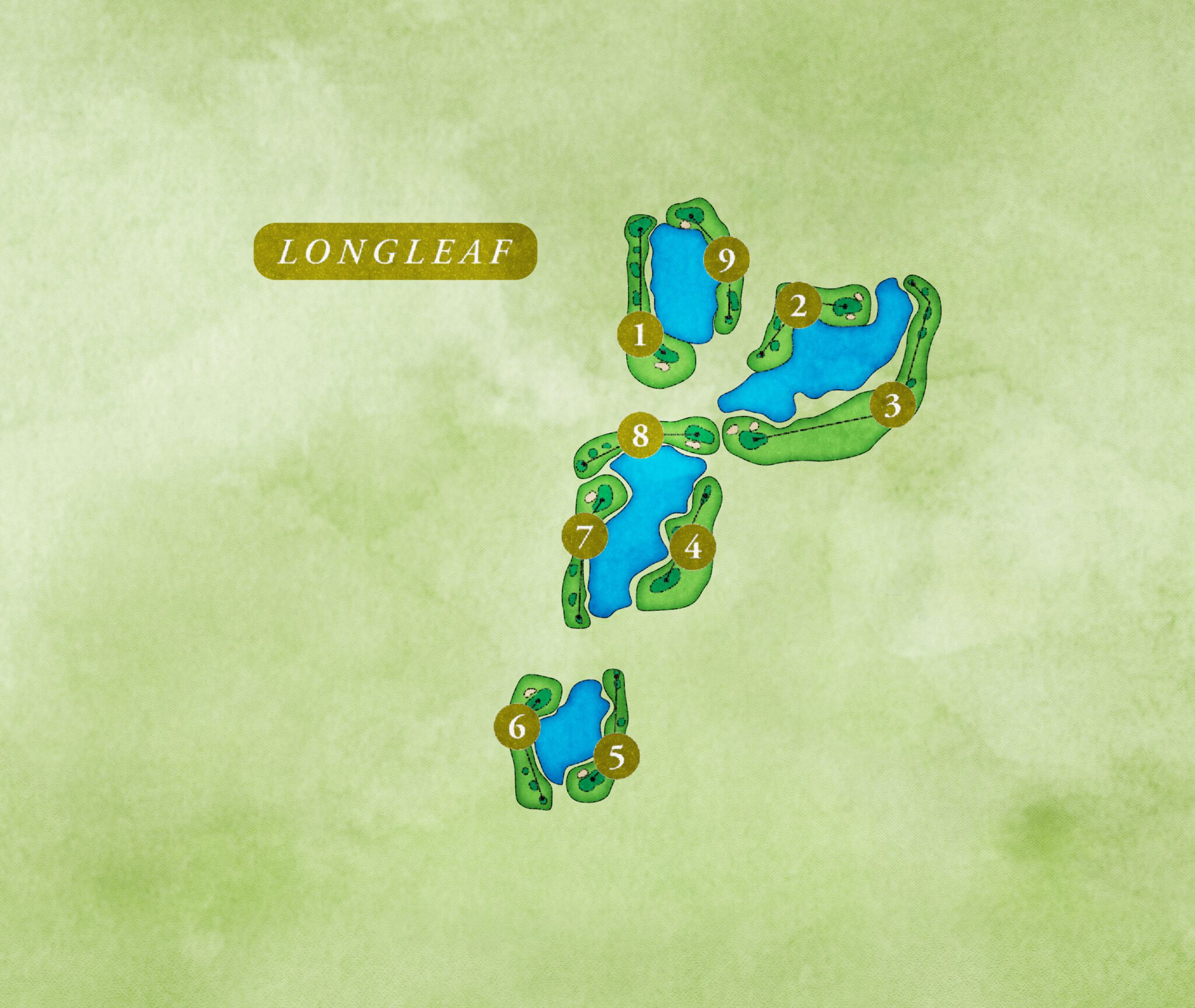 Longleaf Executive Golf Course - The Villages