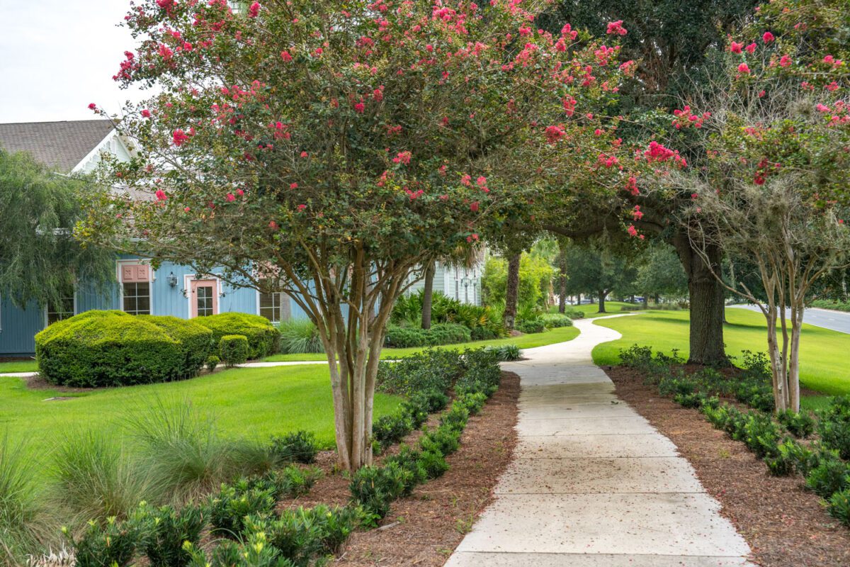 Colony Cottage Recreation Pathway - The Villages