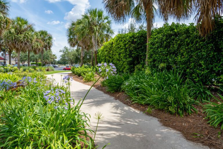 Lake Miona Pathway - The Villages
