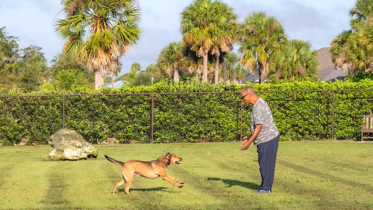 Dog Parks