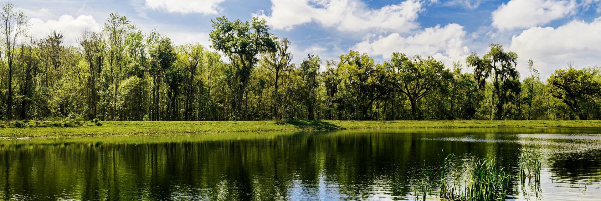 The Village of Chitty Chatty - The Villages